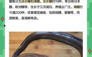 鳗鲡属于什么生态系统_鳗鲡生活在淡水还是海水