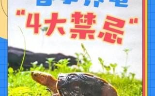 为什么养龟毁一生_养龟后悔了吗