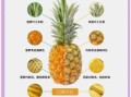 凤梨和菠萝哪个贵一点_价格差异背后的真相