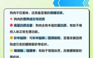 狗肉的功效与作用禁忌_非虚寒症能吃狗肉吗