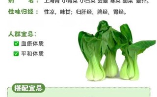 油菜的作用与功效_油菜怎么吃最健康