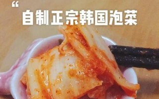 韩式泡菜怎么做_正宗韩餐菜谱步骤