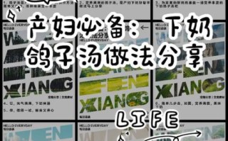 鸽子汤怎样炖最下奶_产妇鸽子汤下奶做法