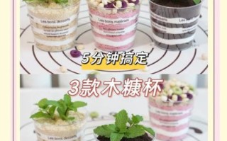 木糠杯的做法图片_木糠杯需要烤吗