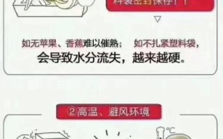 猕猴桃怎么催熟最简单_猕猴桃催熟最快的方法