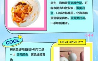 海鸭蛋和普通鸭蛋的区别_哪个更营养