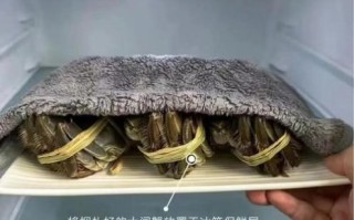 螃蟹能放冰箱冷冻吗_冷冻螃蟹的正确方法