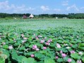 绥化市旅游景点有哪些_绥化周边一日游去哪好