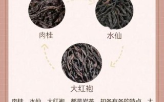 岩茶水仙和肉桂的区别_哪个更好喝