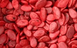 红瓜子图片怎么拍好看_红瓜子图片拍摄技巧