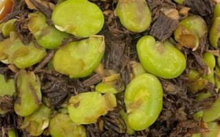 干蚕豆怎么炒_干蚕豆炒之前要泡吗