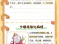 火龙果怎么种植_火龙果种植技术要点