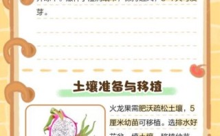 火龙果怎么种植_火龙果种植技术要点