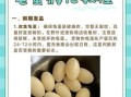 乌龟蛋孵化温度多少合适_乌龟蛋孵化过程图怎么看