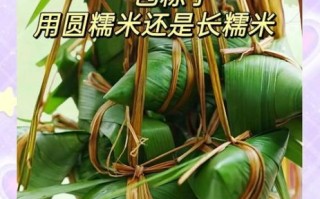 长糯米和圆糯米的区别_哪个更适合做粽子