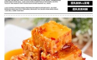 自制豆腐乳的做法窍门_豆腐乳发霉还能吃吗