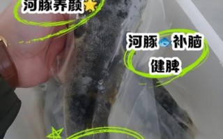 河豚怎么吃_河豚哪里有毒