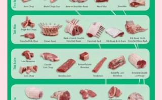 羊肉英语翻译_羊肉英文怎么说