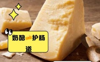 奶酪的营养价值有哪些_奶酪吃多了有什么副作用