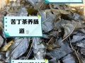 长期喝小叶苦丁茶致癌吗_小叶苦丁茶副作用真相
