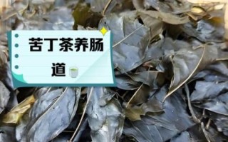 长期喝小叶苦丁茶致癌吗_小叶苦丁茶副作用真相