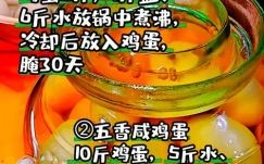 腌鸡蛋的腌制方法_咸鸡蛋怎么腌制才出油