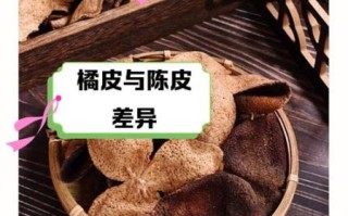 陈皮和橘子皮有什么区别_陈皮与橘子皮的功效差异