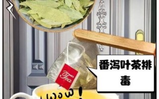 番泻叶泡水禁忌_哪些人不能喝