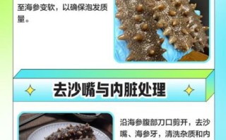 海参怎么洗干净_海参内脏清理步骤
