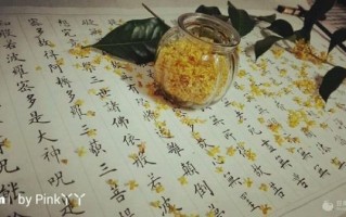 桂花蜜by居无竹下载_哪里能看全文