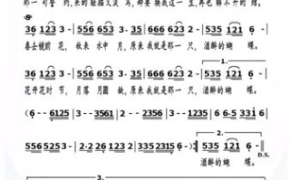 酒醉的蝴蝶歌词含义_为何让人上头