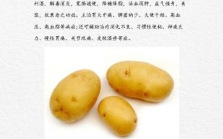 土豆的营养价值高吗_土豆怎么吃最健康