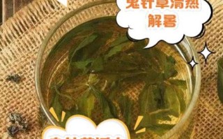 鬼针草降血压怎么用_鬼针草治高血压一天吃几次