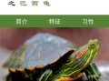 巴西红耳龟怎么养_巴西红耳龟能活多久