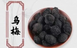 乌梅长什么样_乌梅的功效与作用