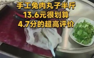 兔肉丸子怎么做_兔肉丸子家常做法窍门