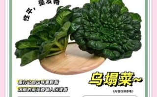 孕妇能吃乌塌菜吗_乌塌菜对孕妇有什么好处