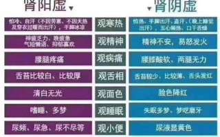 飞机打多了是肾阴虚还是肾阳虚_如何分辨与调理