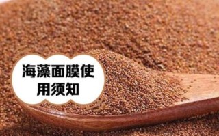 长期敷海藻面膜的功效_多久见效