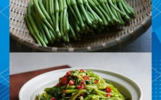 黄花菜怎么做好吃_凉拌黄花菜的做法窍门