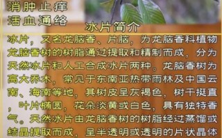 冰片的功效与作用_冰片的禁忌有哪些