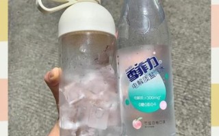 自制盐汽水的做法_盐汽水比例怎么调