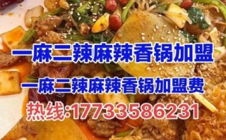 麻辣香锅加盟多少钱_麻辣香锅加盟哪家好