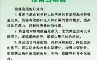 桑葚酒怎么酿_桑葚酒的做法步骤