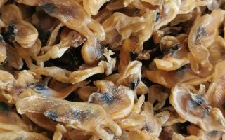 蛏子干的营养价值_蛏子干的功效与作用