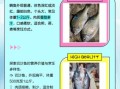 鲷鱼和巴沙鱼哪个好_口感营养价格全面对比