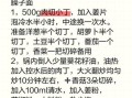 臊子面怎么做最正宗_臊子面正宗做法步骤