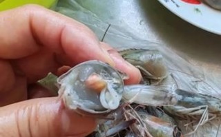 基围虾有寄生虫吗_如何安全吃