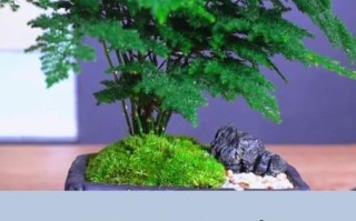 节节高升图片有什么寓意_如何正确悬挂节节高升图