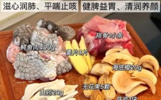 鳄鱼肉煲汤大全_鳄鱼肉煲汤怎么做好吃